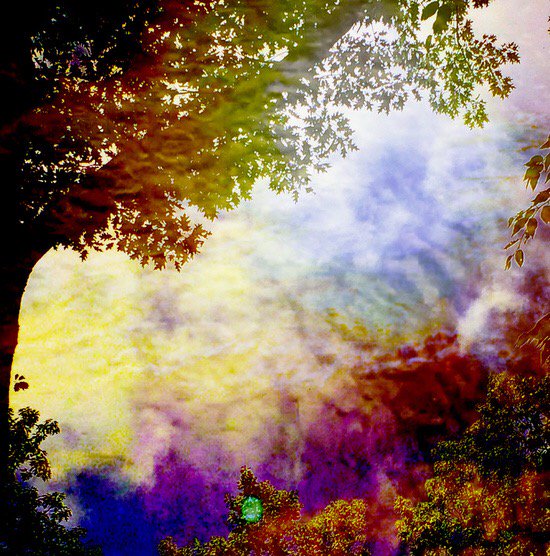 Alchemy | Jacob R. Moses